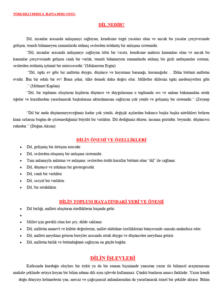 DIL_VE_DILIN_OZELLIKLER | PDF