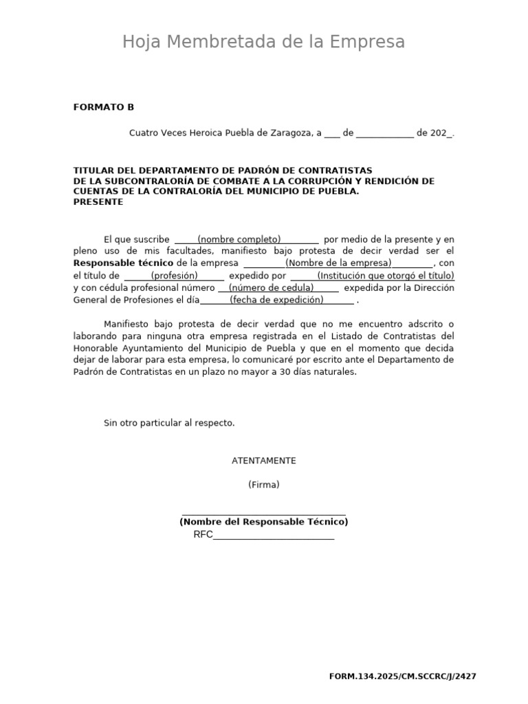 Formato B - Responsabilidad Técnica | PDF