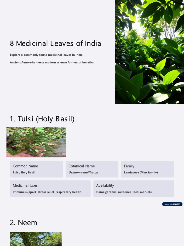 8 Medicinal Leaves in India | PDF