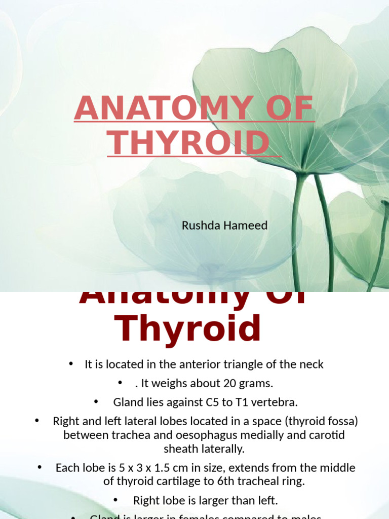 Anatomy of Thyr-Wps Office | PDF | Thyroid | Common Carotid Artery