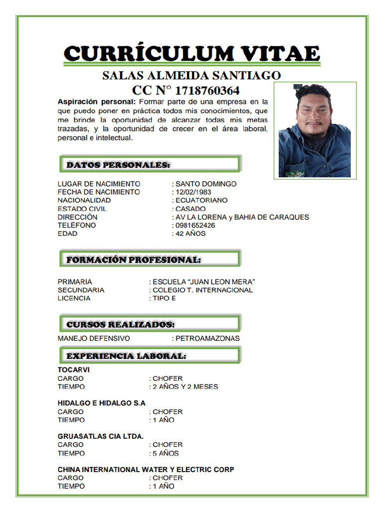 CV Formato (3) A | PDF