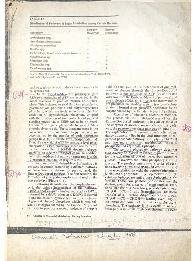 DR Awojobi Material | PDF