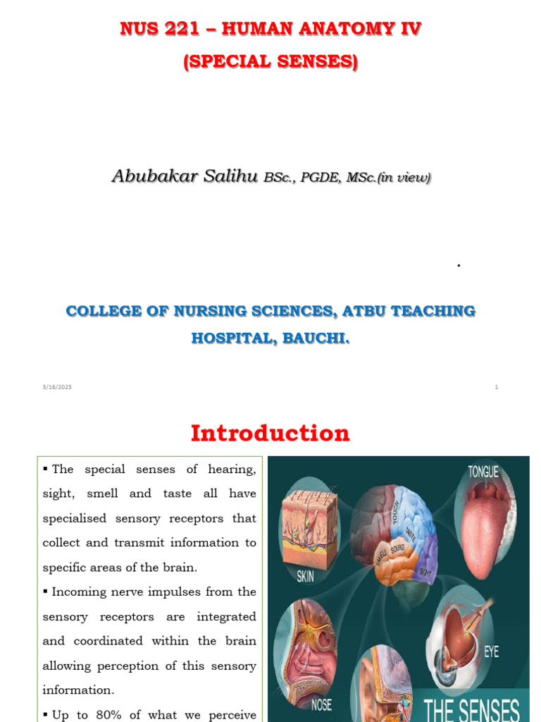 Anatomy of The Special Senses of Ear-1 | PDF | Ear | Senses