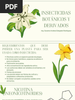 Ficha Tecnica Bingo SG | PDF | Insecticida | Agua
