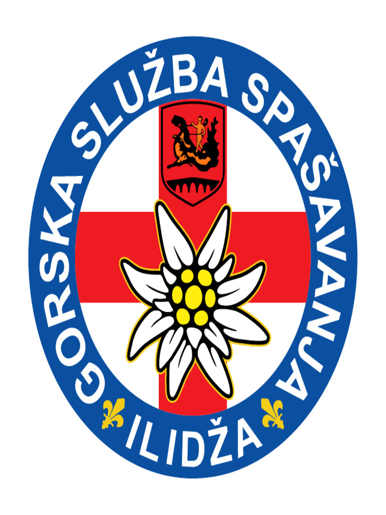 Gss Ilidza Logo Vector | PDF