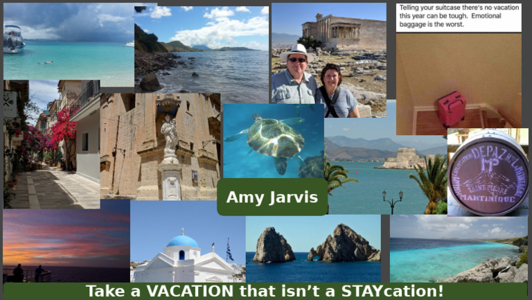 Amy Jarvis | PDF