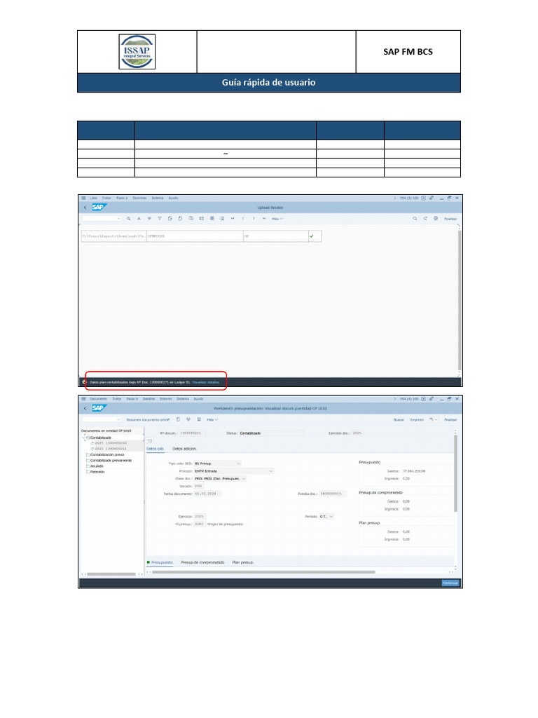 Programa de Carga 2025 - 19052025 | PDF