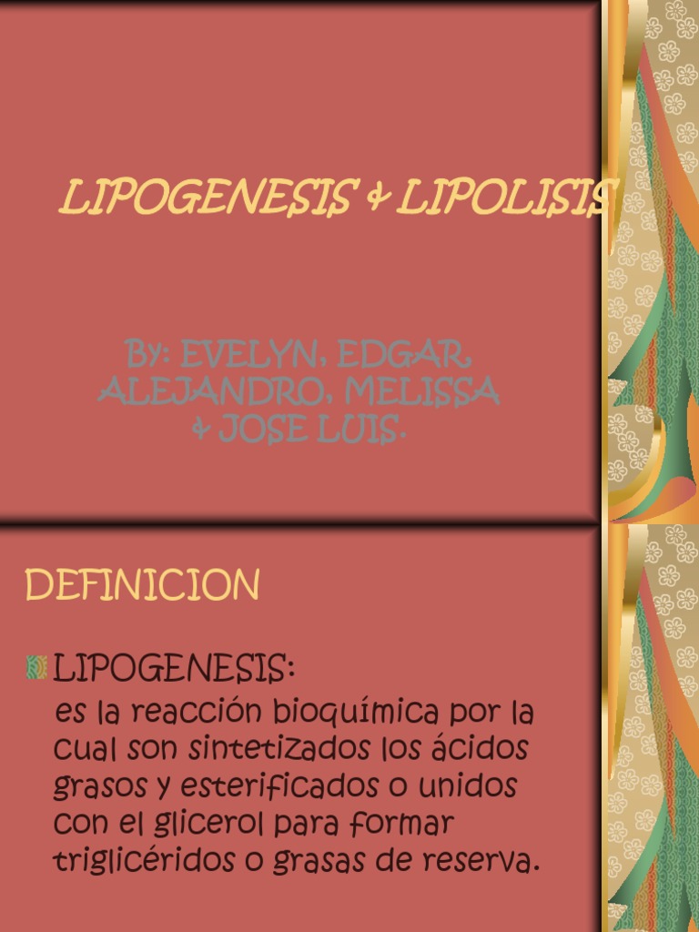 Lipogenesis & Lipolisis | Metabolismo | Biomoléculas
