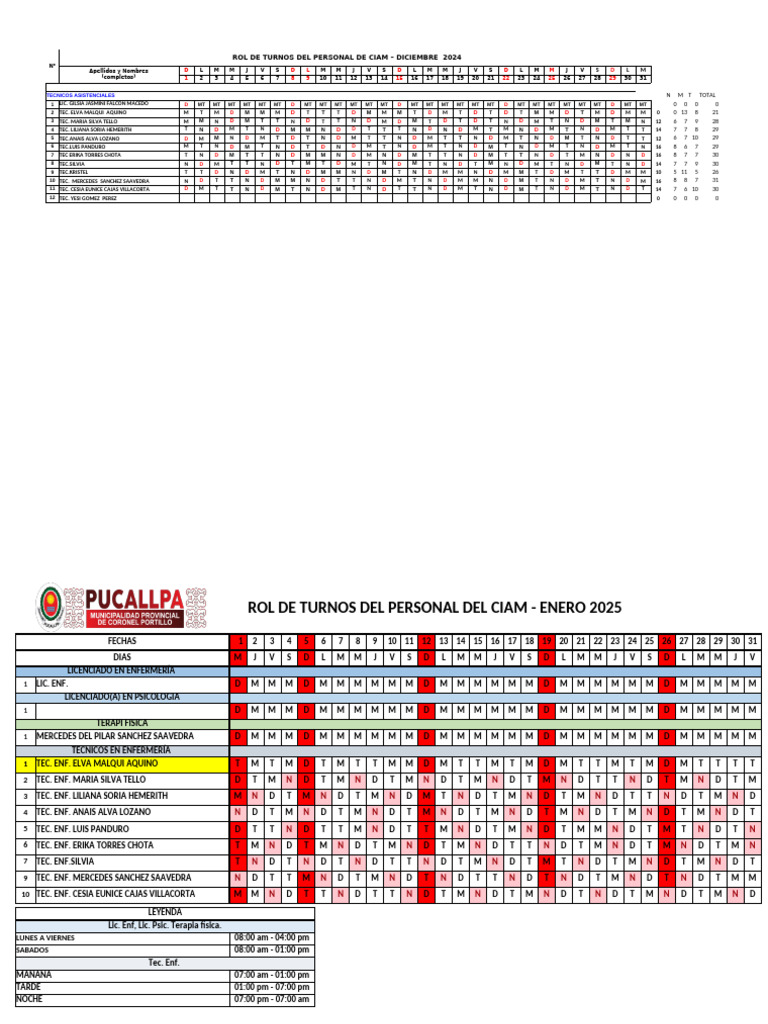 Rol 2025 Ciam Actualizado | PDF