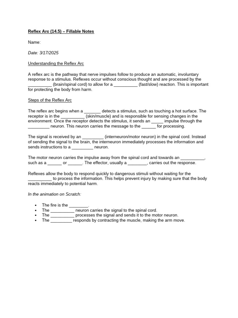 Reflex Arc (14.5) - Fillable Notes | PDF