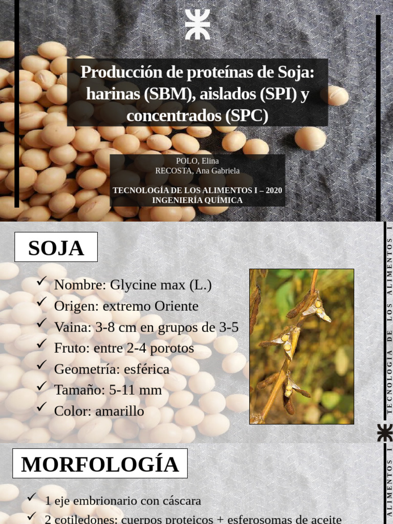 Monografia SBM Spi SPC - Polo, Recosta Final | PDF | Haba de soja | Laminado (metalmecánica)