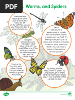 Insect Study Building Prompts | PDF