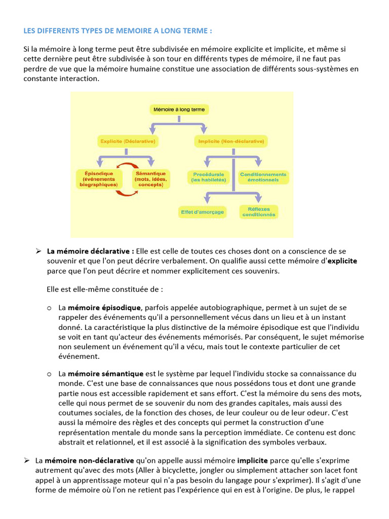 Les Differents Types de Memoire A Long Terme | PDF | Mémoire | Mémoire ...