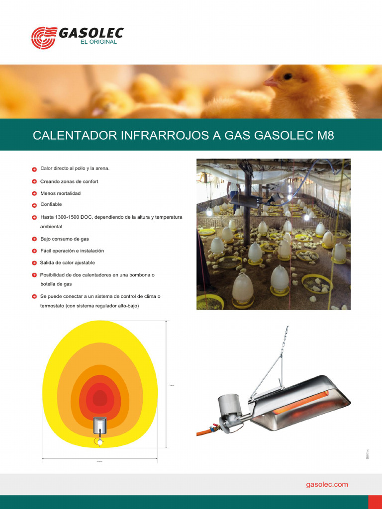 Campana Gasolec m8 | PDF | Gas natural | Gases