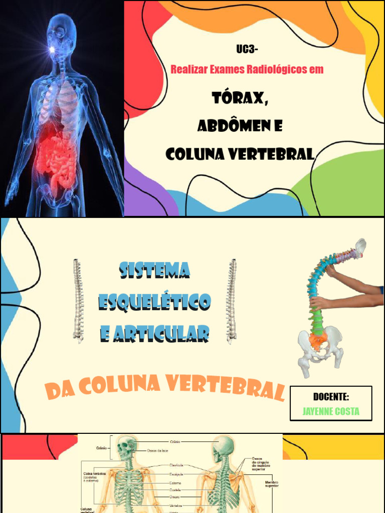 Exames Radiológicos da Coluna Vertebral | PDF | Vértebra | Coluna vertebral