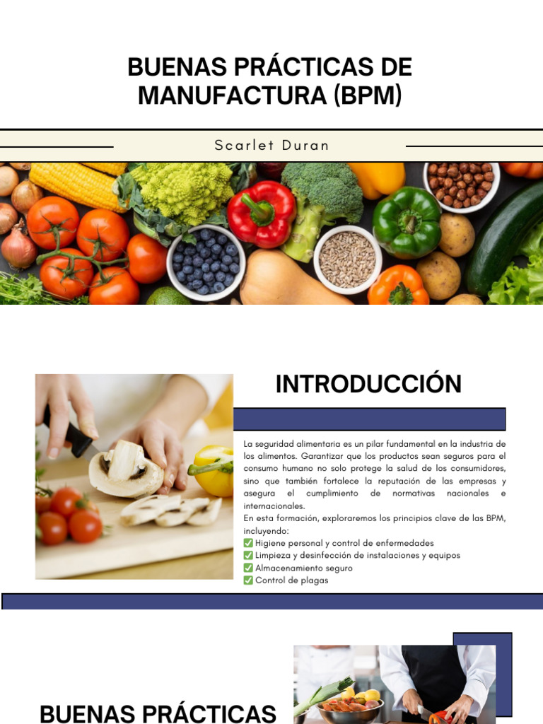 Buenas Prácticas de Manufactura (BPM) | PDF | Seguridad alimenticia | Alimentos