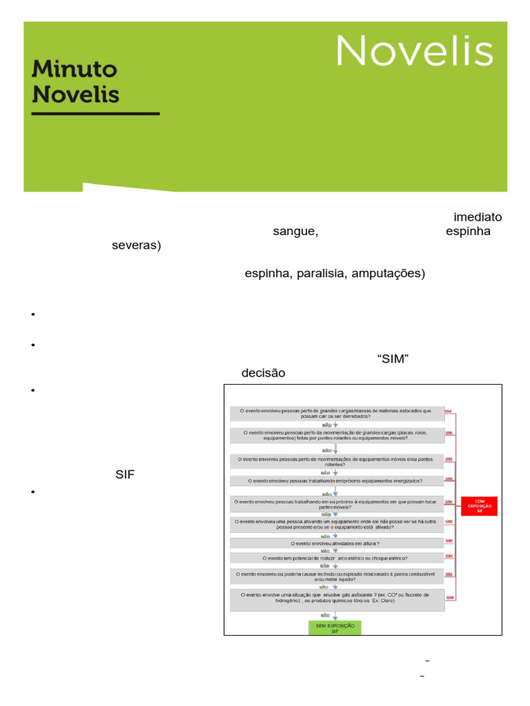Lesões Graves e Fatalidades SIF | PDF