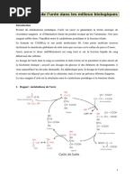 Dosage et définition de l'urée | PDF | Urée | Ammoniac