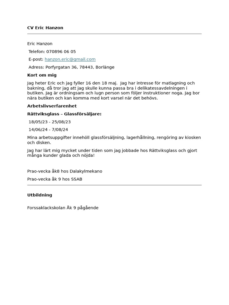 CV Eric Hanzon | PDF