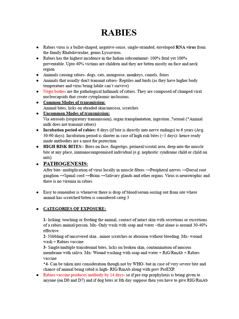 Understanding Rabies: Transmission and Treatment | PDF | Rabies ...