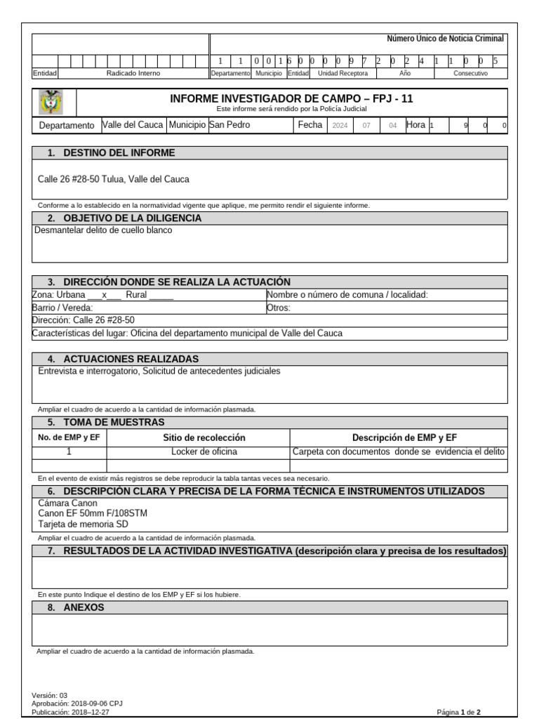 FPJ 11 Informe Investigador de Campo V 03 | PDF