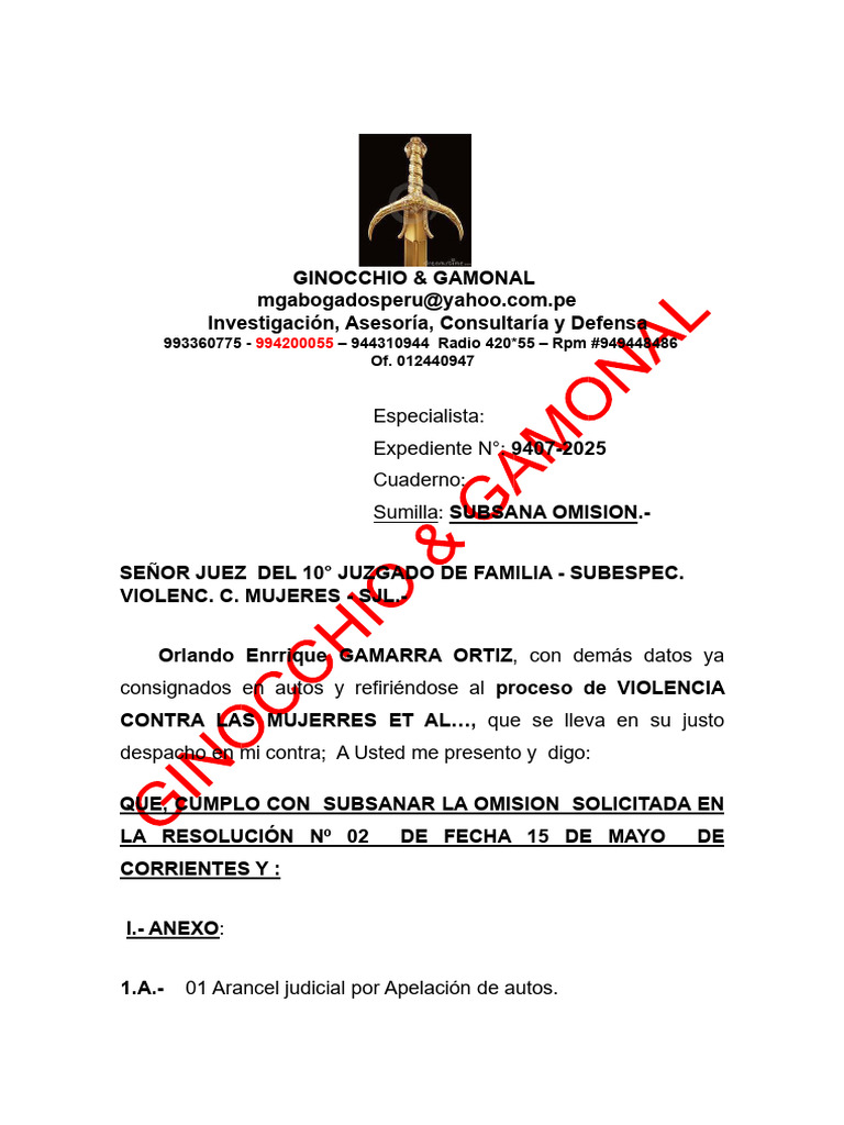 Orlando GAMARRA Subsana Omision | PDF