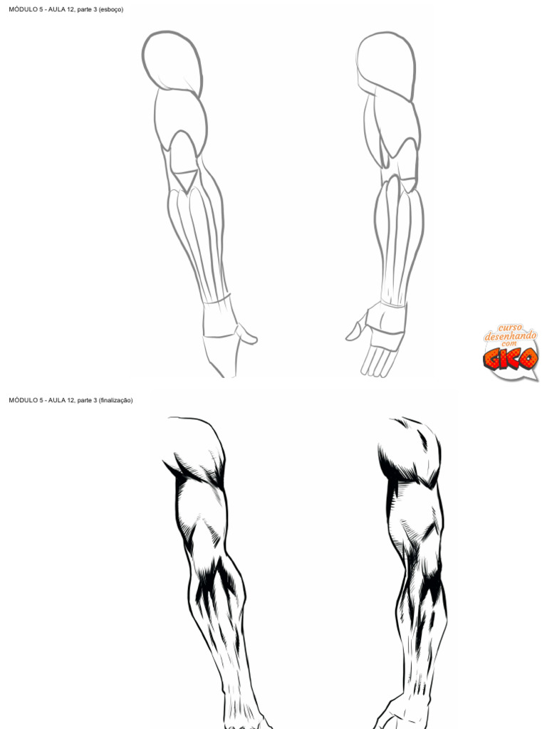 Modulo 5 Exercício 12.3 | PDF