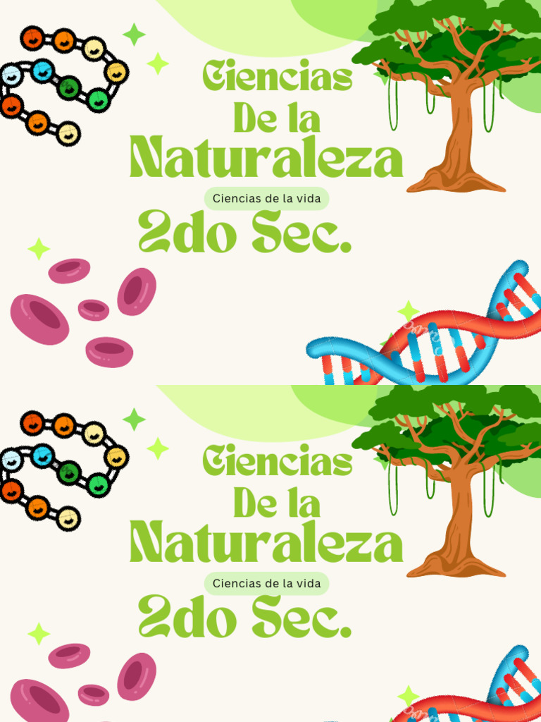 Portada de 2do | PDF