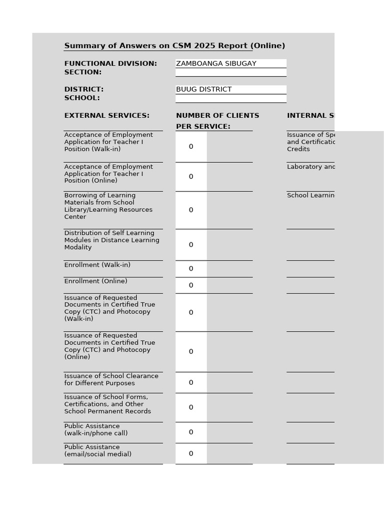 CSM Report 2025 Template | PDF