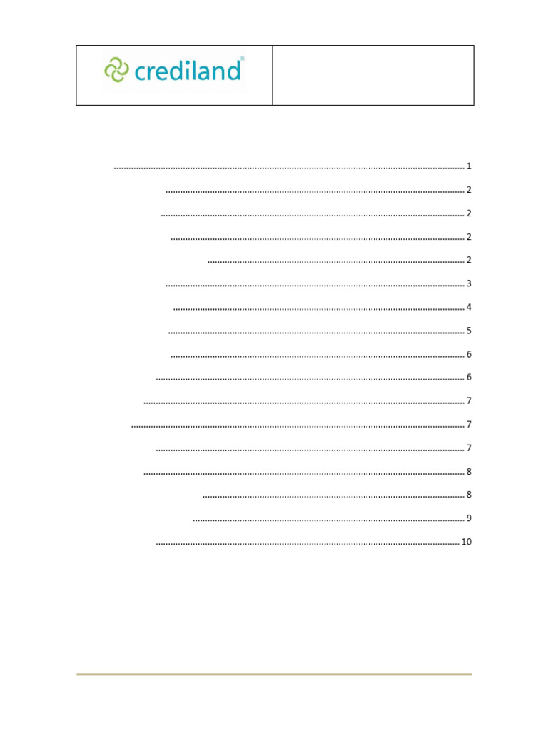 Ejemplo Perfil Director General | PDF | Gestión de recursos humanos | Calidad (comercial)