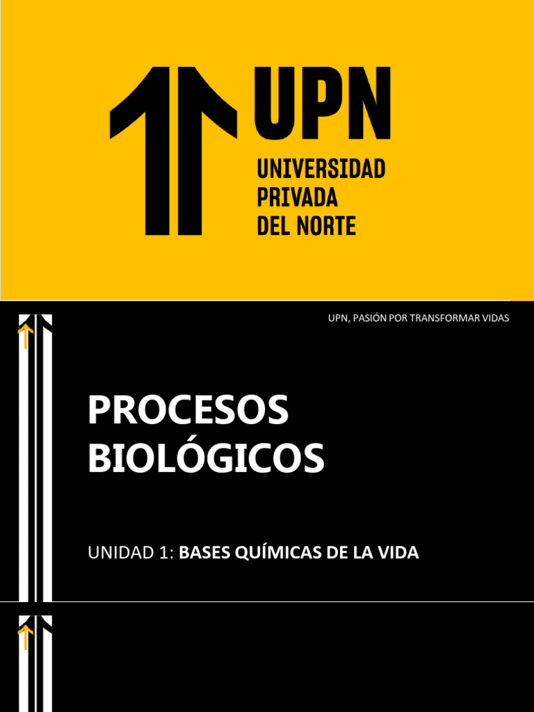 Procesos Biologicos | PDF | Organismos | Eucariotas