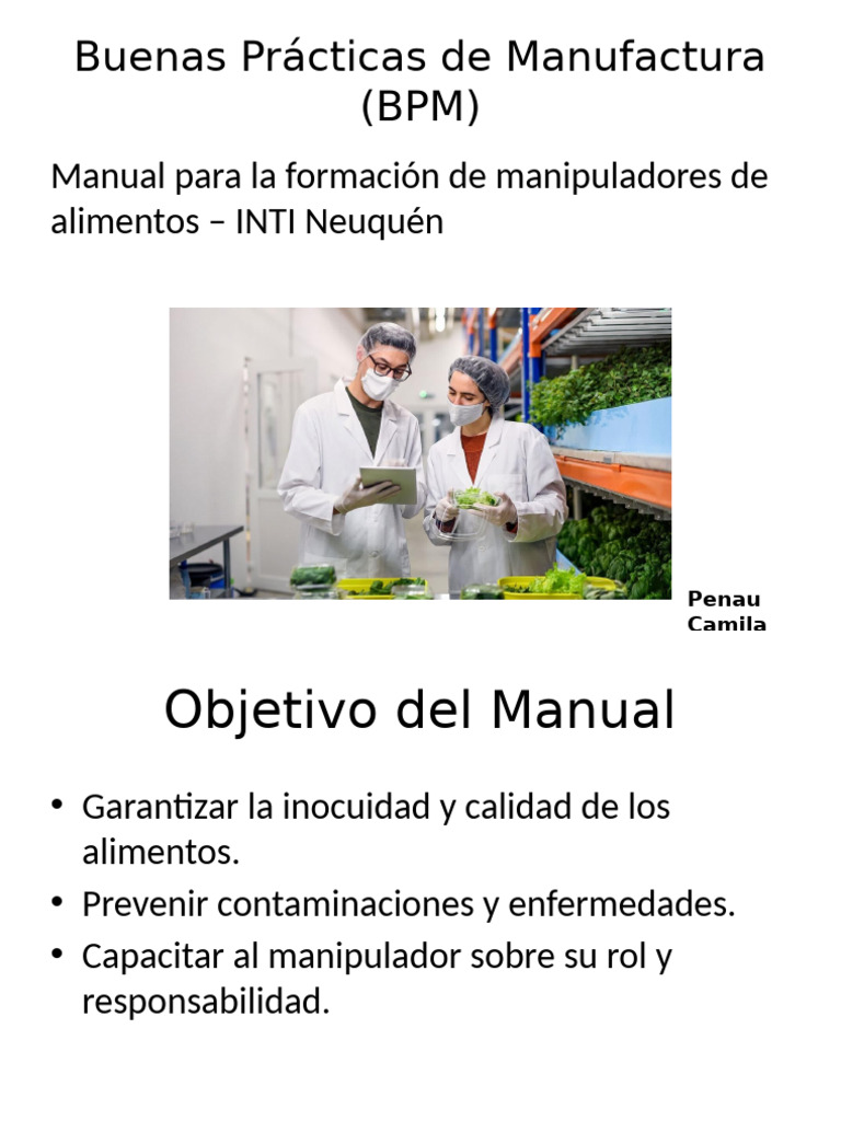 Presentacion Buenas prácticas de manufactura | PDF | Alimentos | Higiene