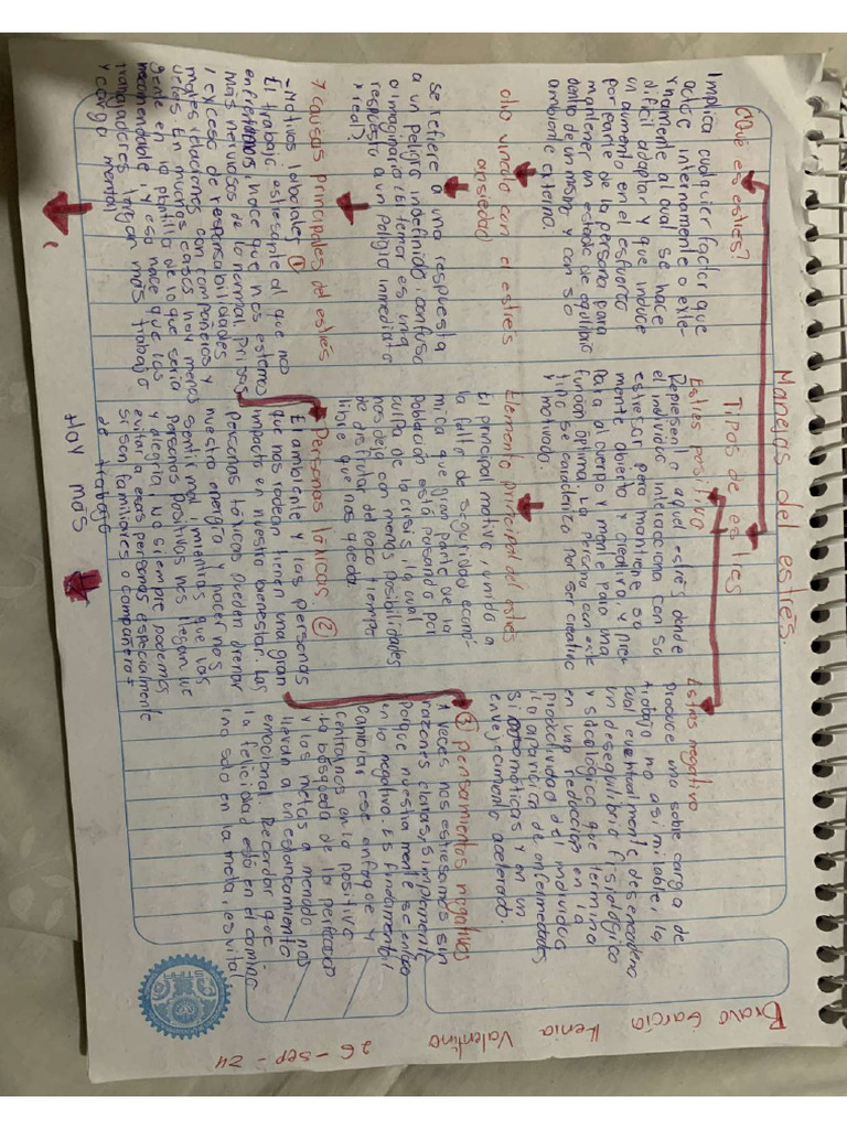 Mapa Conceptual de Manejo de Estrés | PDF
