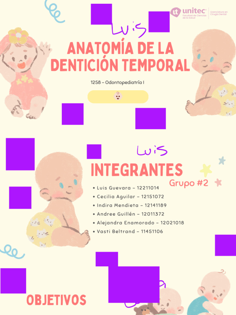 Anatomia de La Dentición Temporal - Grupo #2 - OP1 | PDF | Odontología ...