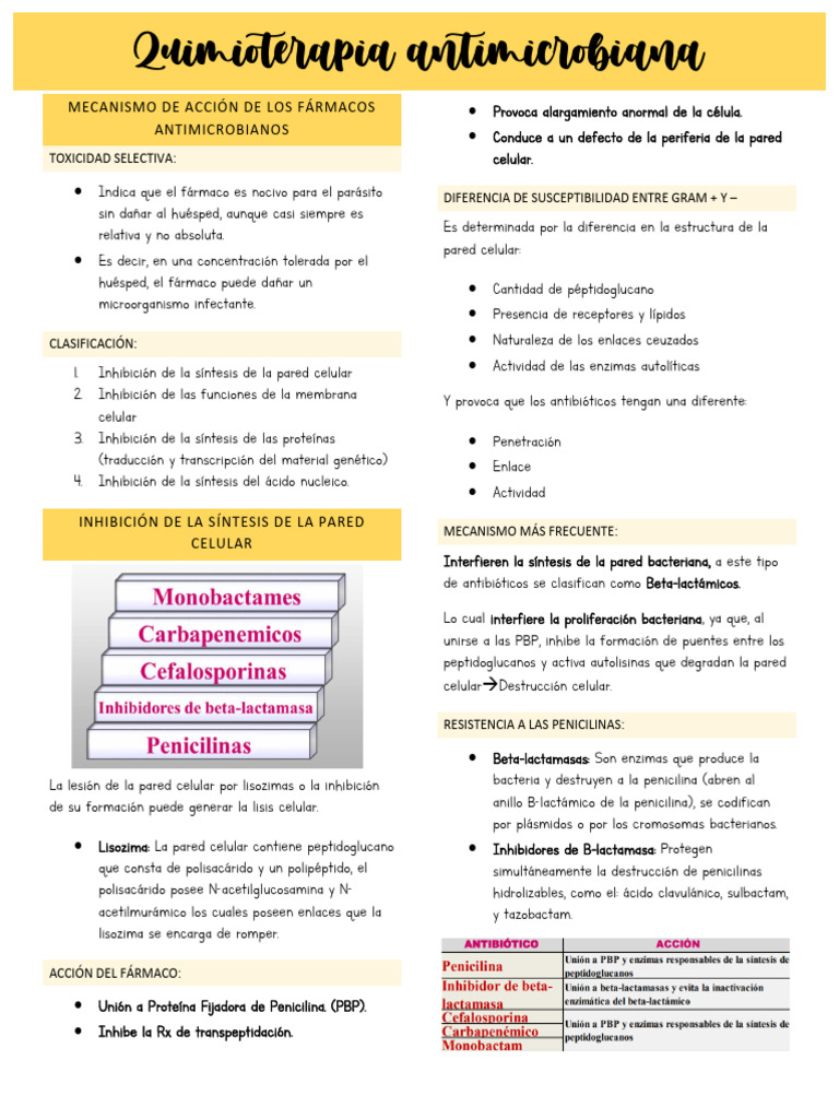 Clase5 - Quimioterapia Antimicrobiana | PDF | Penicilina | Ribosoma