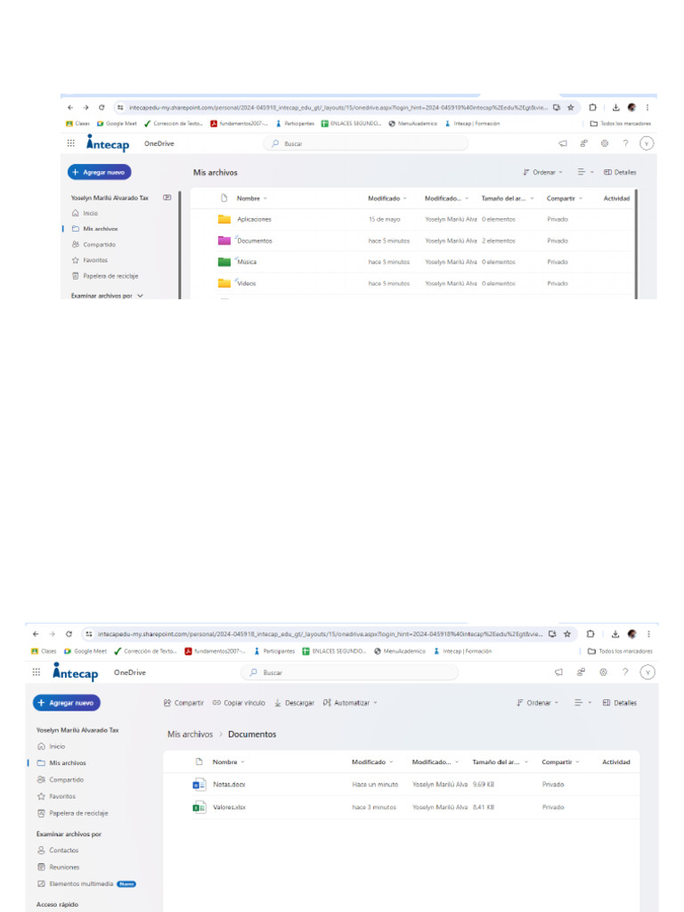 Act I Vida DHD 009 Instrucciones | PDF