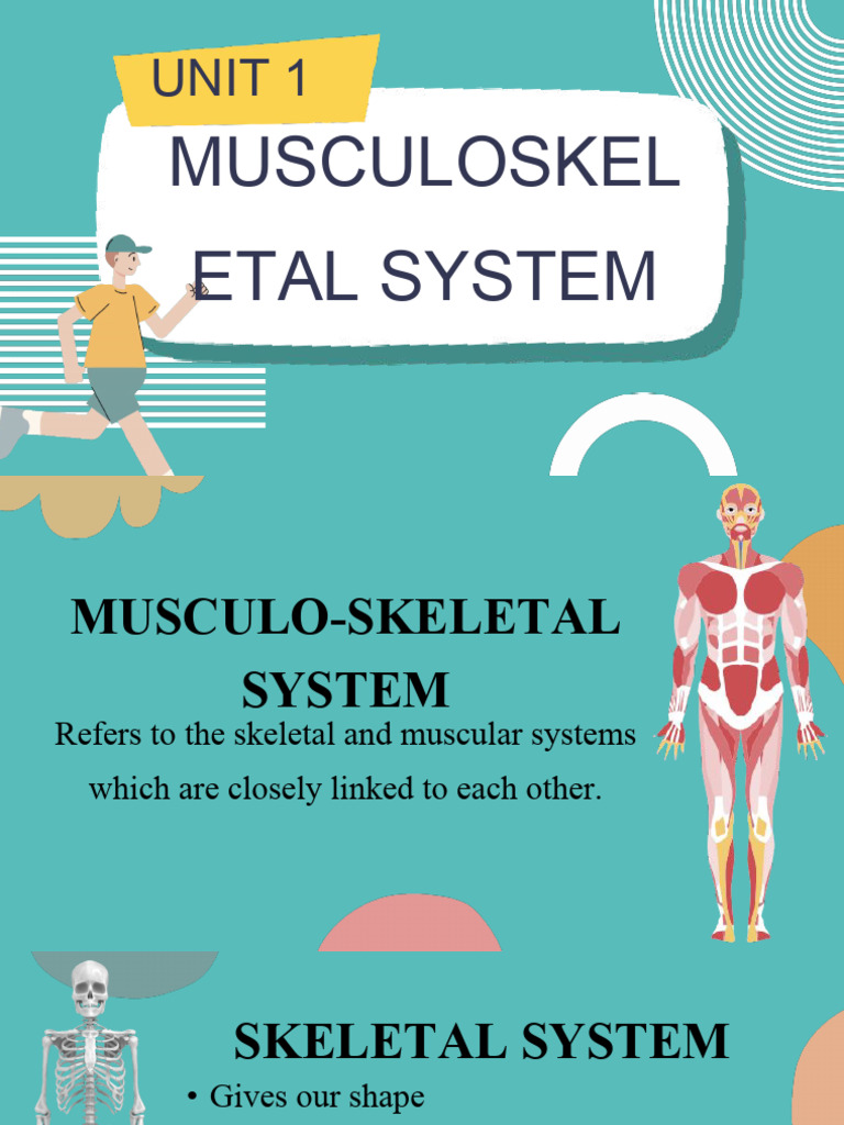Unit 1.1 - Skeletal System | PDF | Anatomical Terms Of Motion | Musculoskeletal System