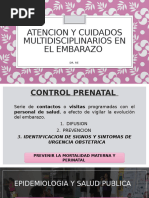 Control Prenatal GPC 2016 MSP | PDF | El embarazo | Parto prematuro