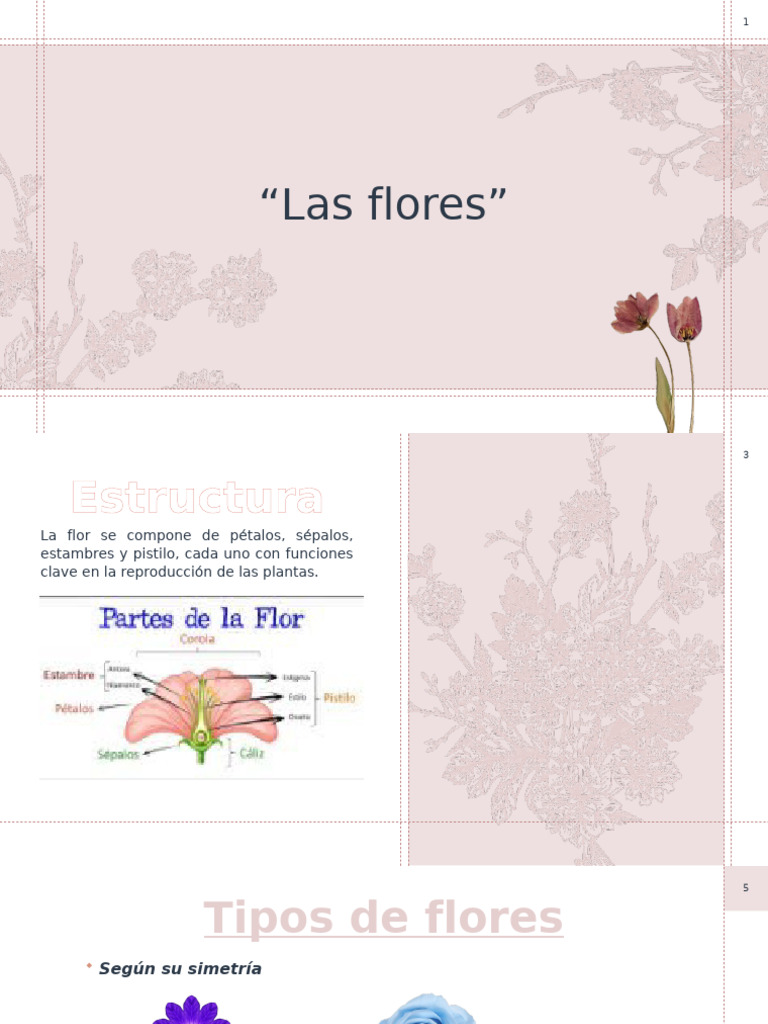 Importancia y Tipos de Flores | PDF