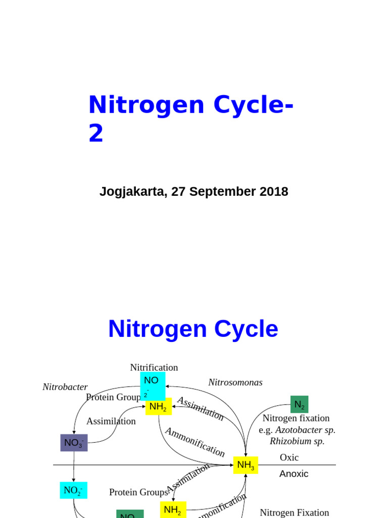 Nitri Denitrification | PDF | Nitrate | Nitrogen