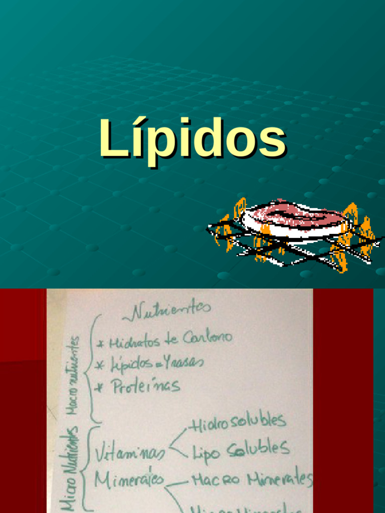 Clasificación y Funciones de Lípidos | PDF | gordo | Petróleo