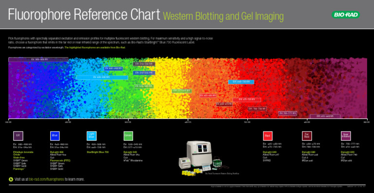 Fluorophores Spectrum Chart - BioRad | PDF | Fluorophore | Fluorescence
