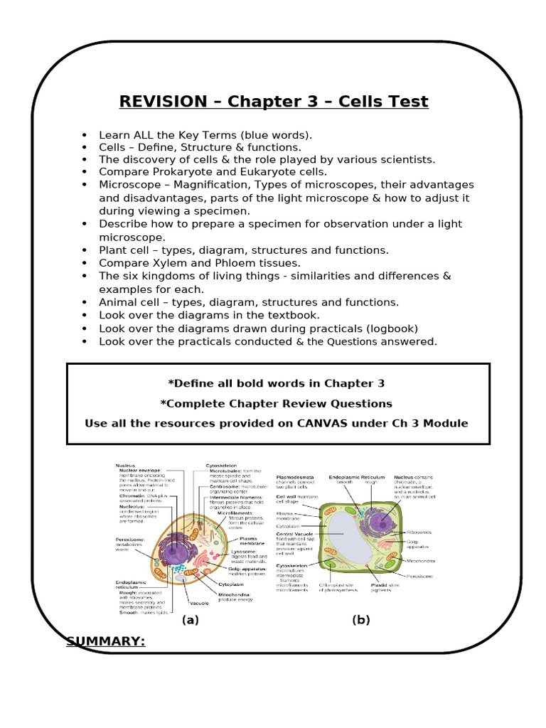 Ch3 Test Revision Sheet | PDF | Cell (Biology) | Organelle