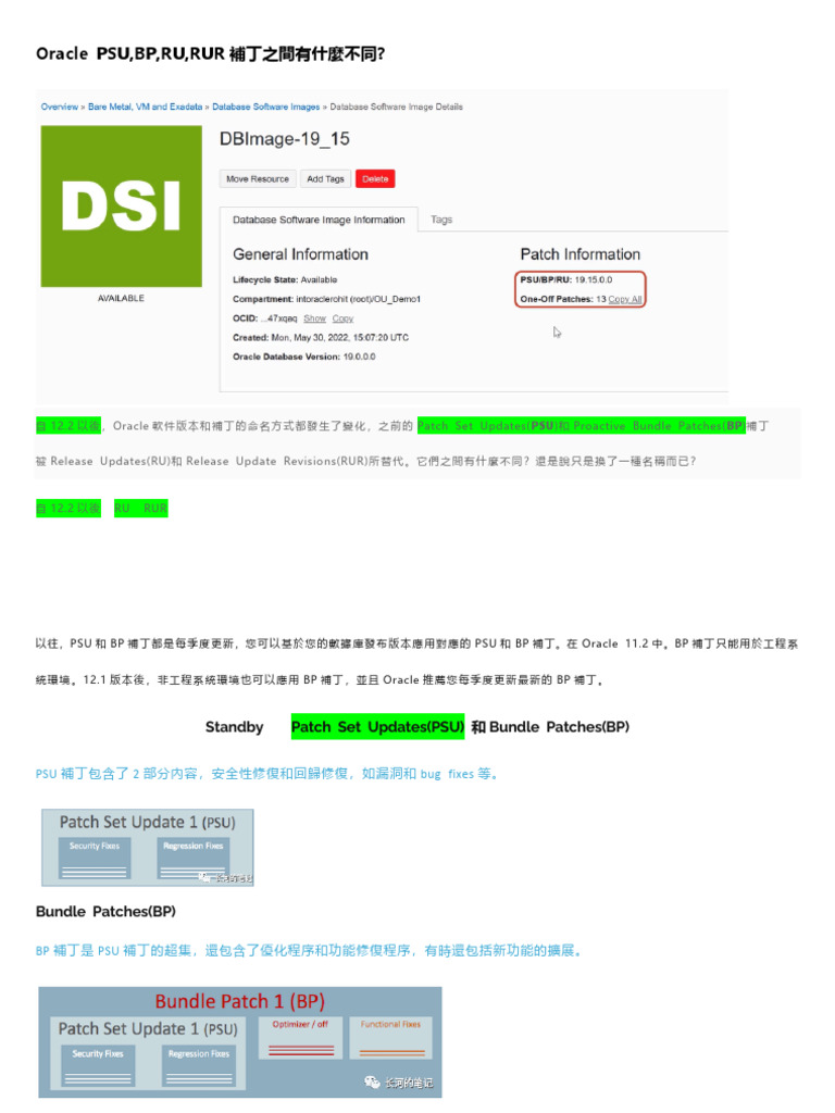 Oracle Psu Bp Ru Rur補丁之間有什麼不同 | PDF