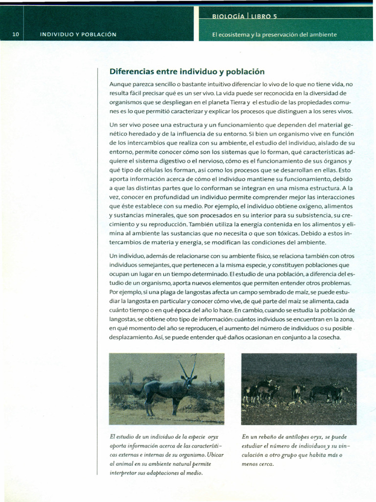 Diferencias entre Individuo y Población | PDF | Especies | Reproducción