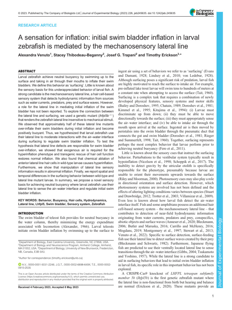 Zebrafish Inflation | PDF | Molecular Cloning | Fish