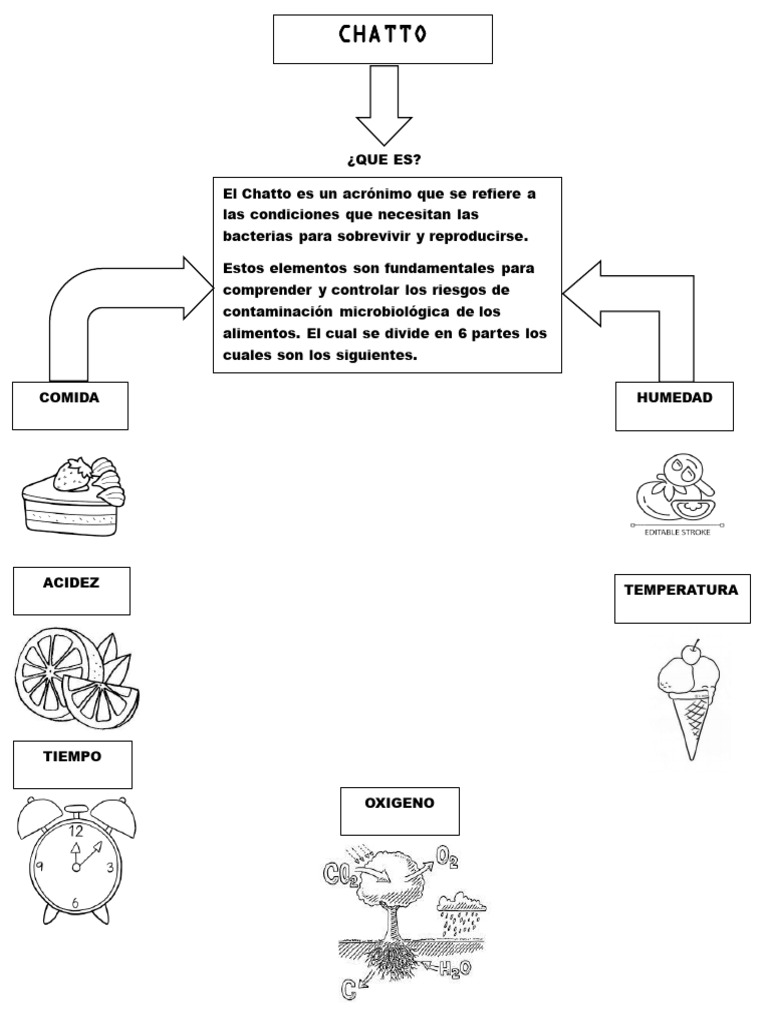 Tarea Del Chatto Completa | PDF