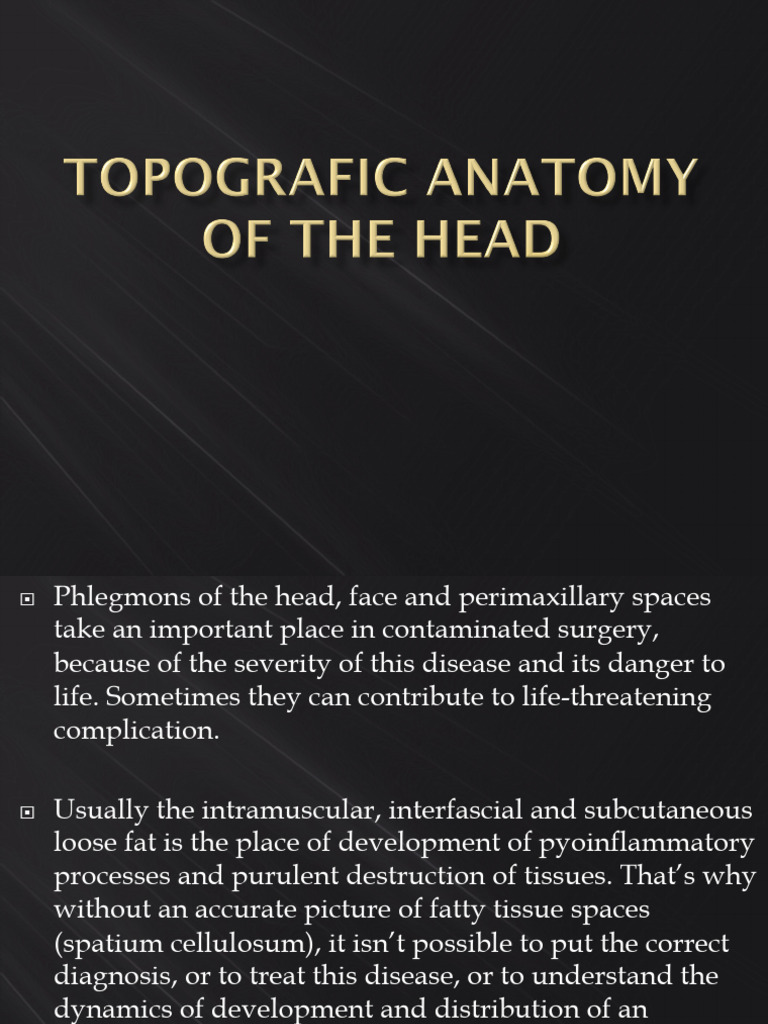 Phlegmons in Head and Face Anatomy | PDF | Common Carotid Artery ...