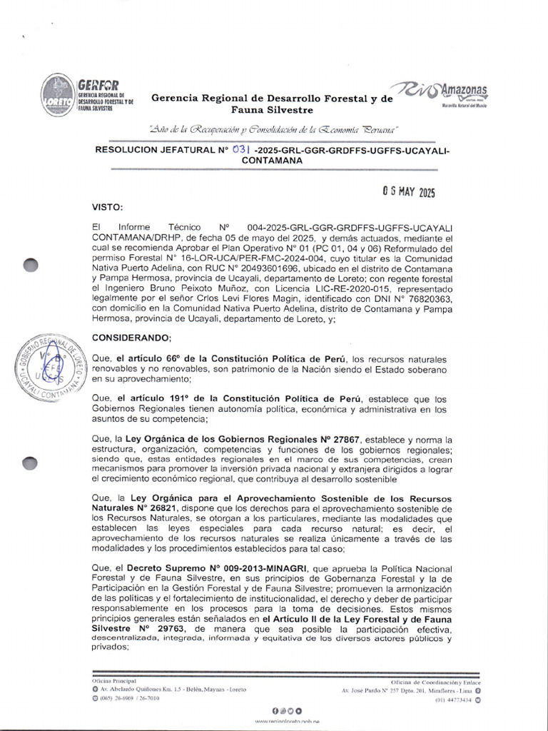 2025 05 06 - RJ 031 2025 GRL GGR GRDFFS Ugffs Ucayali Contamana | PDF