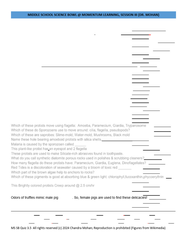 BIO 3.5 Bacteria Virus Protist Fungi Quiz | PDF | Virus | Bacteria
